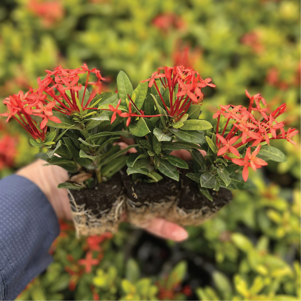 Natures Way – Growing Together